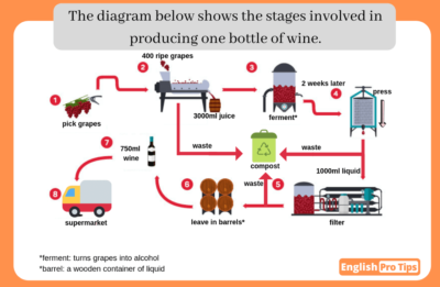 Task 1- Process diagram for making wine – englishprotips.com